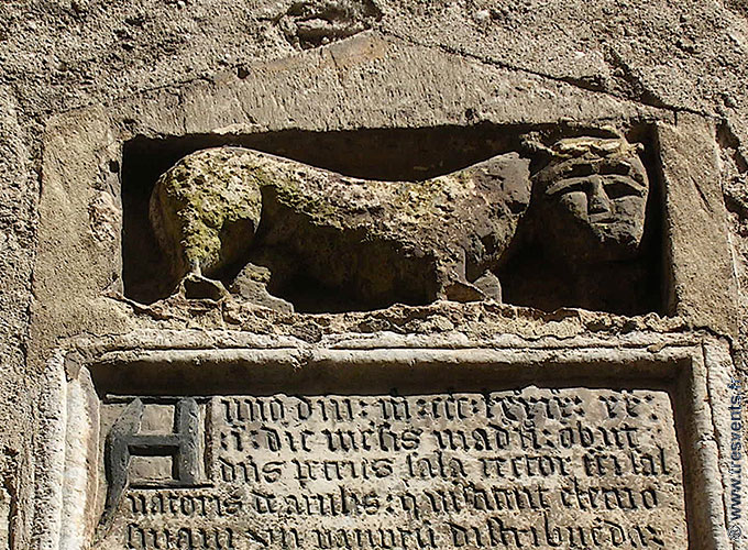 Article 21 – The Wild Men of the Pyrenees – Perennial Pyrenees